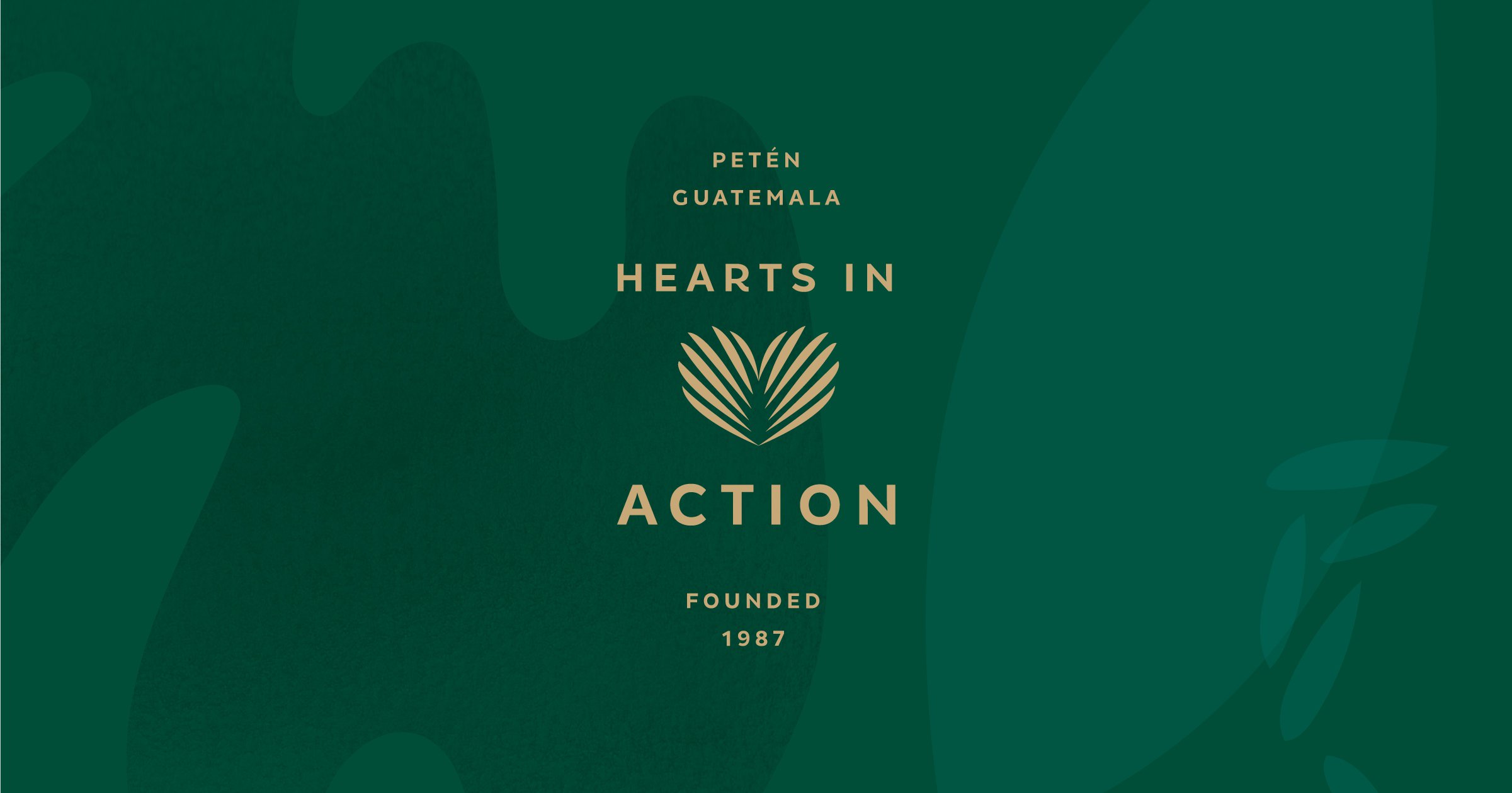 Hearts in Action Brand, Website, Video
