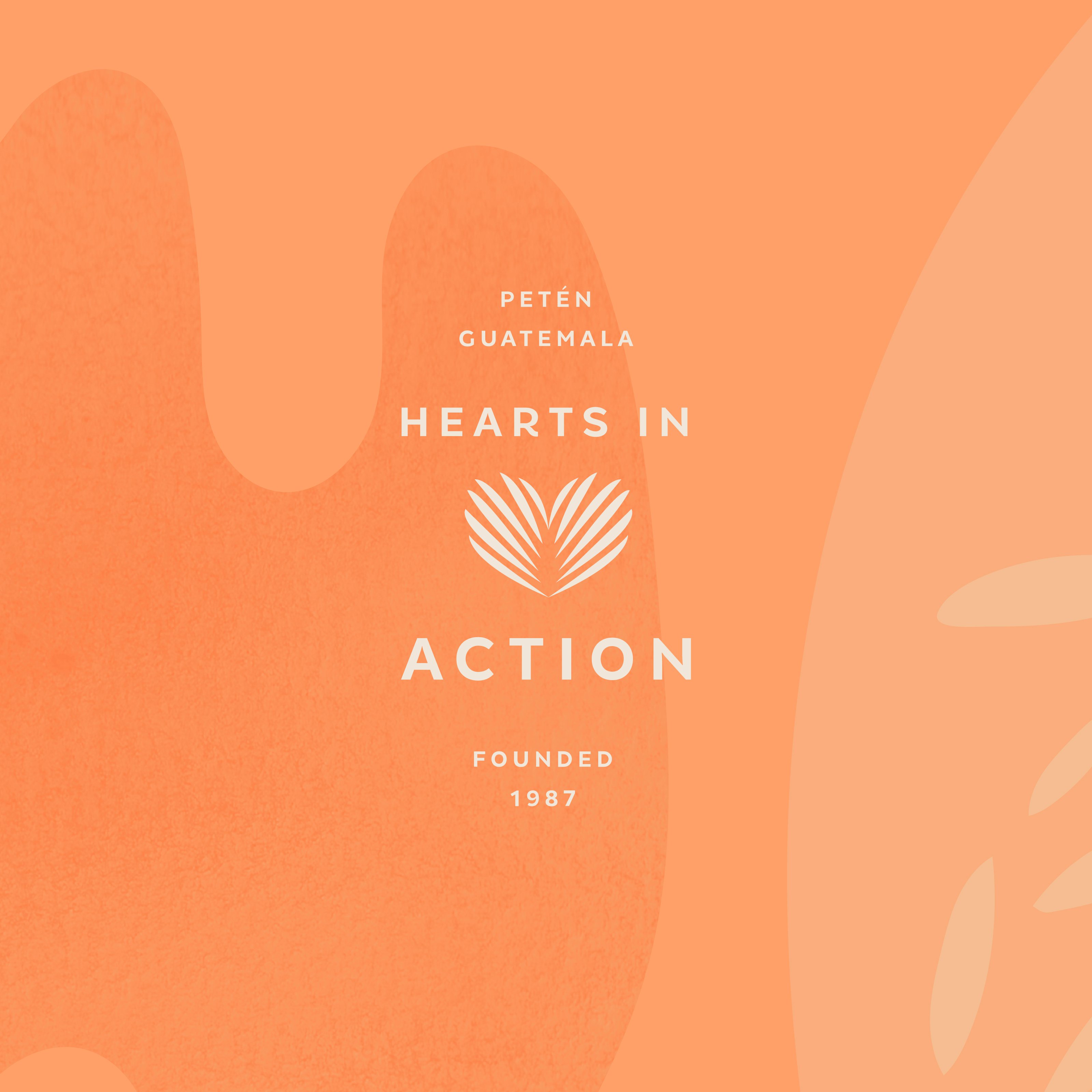 Hearts in Action Brand, Website, Video